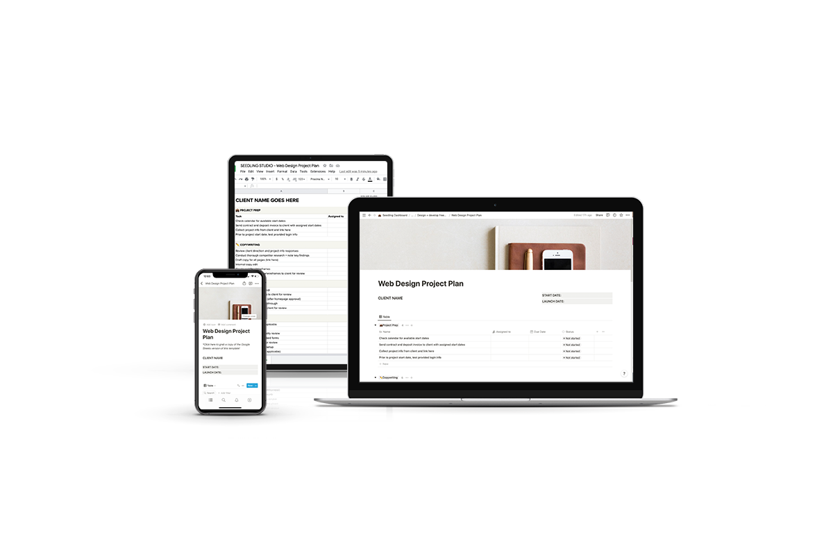 Web Design Project Plan
